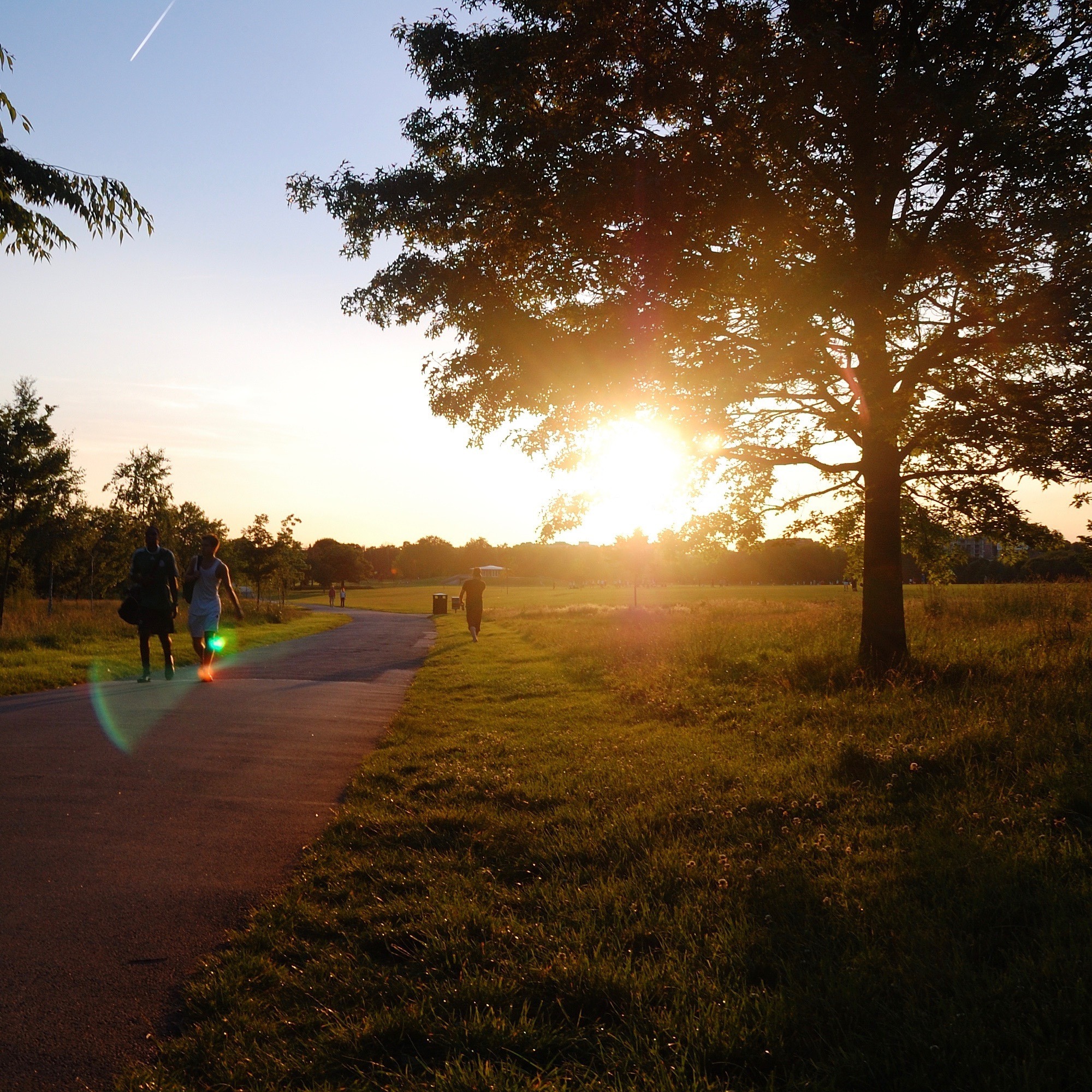 Sarah Hutt Coaching – Enjoy making change: see clearly, take action ...